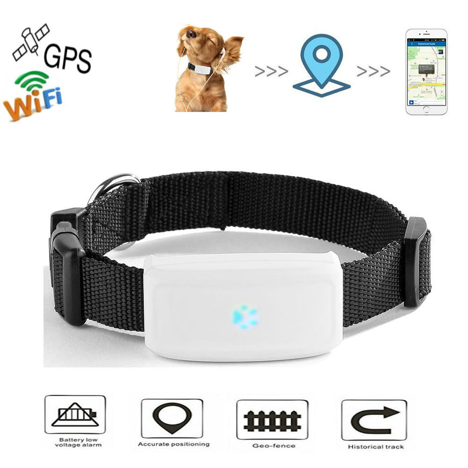 GPS Tracker – WINNES